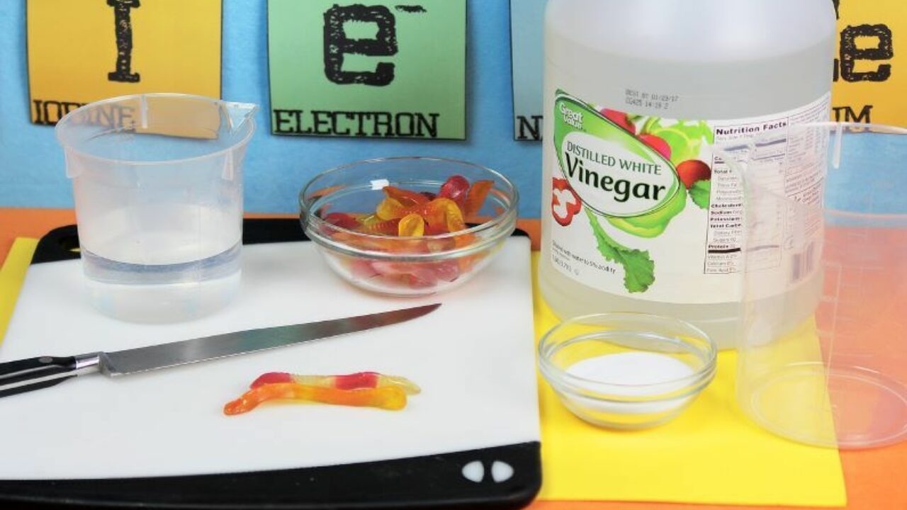 Science Party Frankenworms Gummy Experiment |… | PBS KIDS for Parents