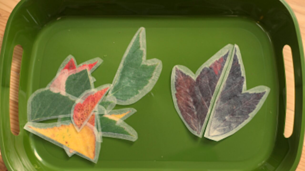 Find the Match: Simple Fall Leaf Puzzles |… | PBS KIDS for Parents