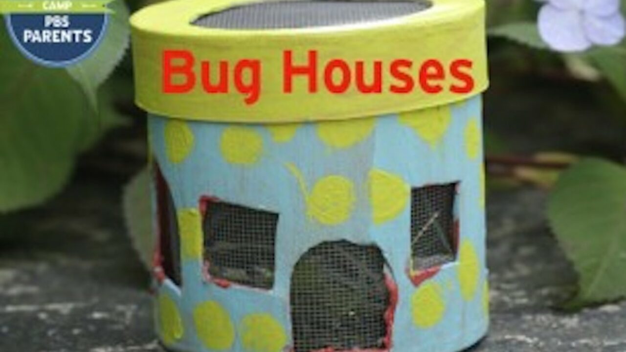 Build a Bug House | Crafts for Kids | PBS KIDS for Parents