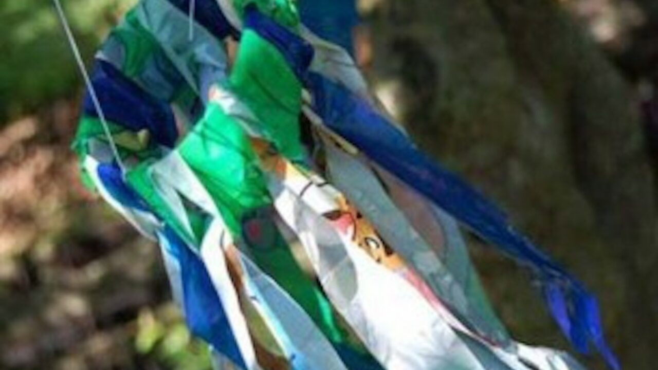 Observe Wind With a DIY Windsock | Crafts for… | PBS KIDS for Parents