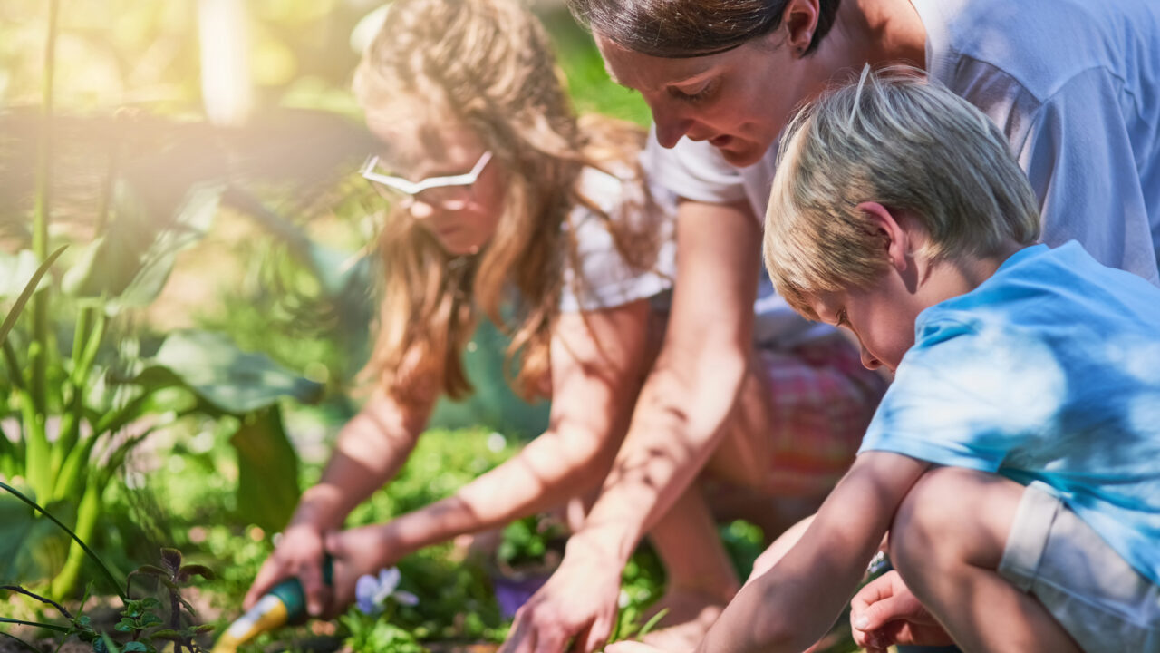 How to Explore the Outdoors With Your Kids |… | PBS KIDS for Parents