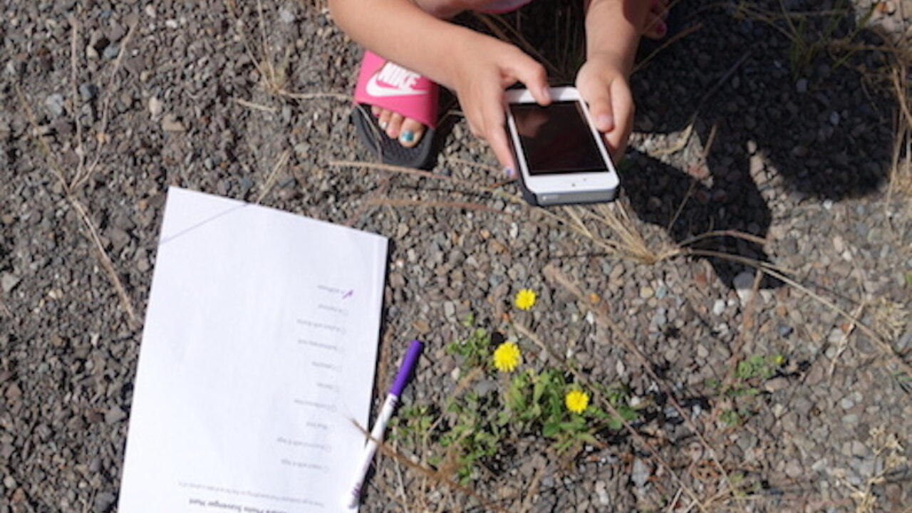 Go on a Nature Photo Scavenger Hunt | Crafts… | PBS KIDS for Parents