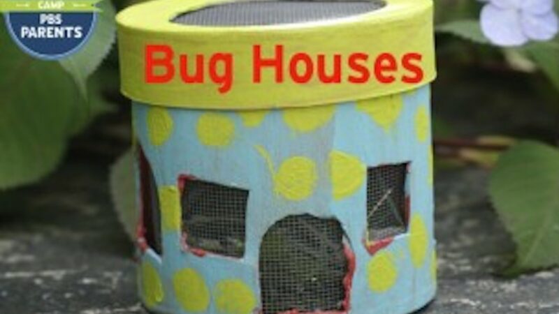 Build a Bug House | Crafts for Kids | PBS KIDS for Parents