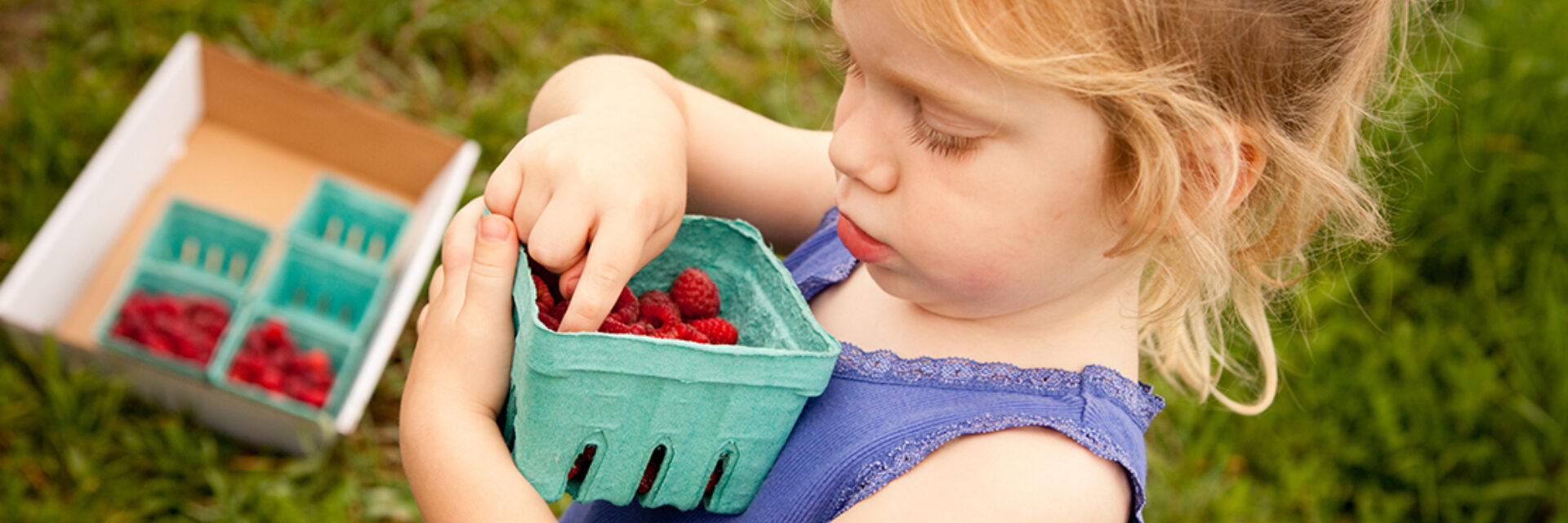Math: Numbers & Counting at Age 3 | Milestones | PBS KIDS for Parents
