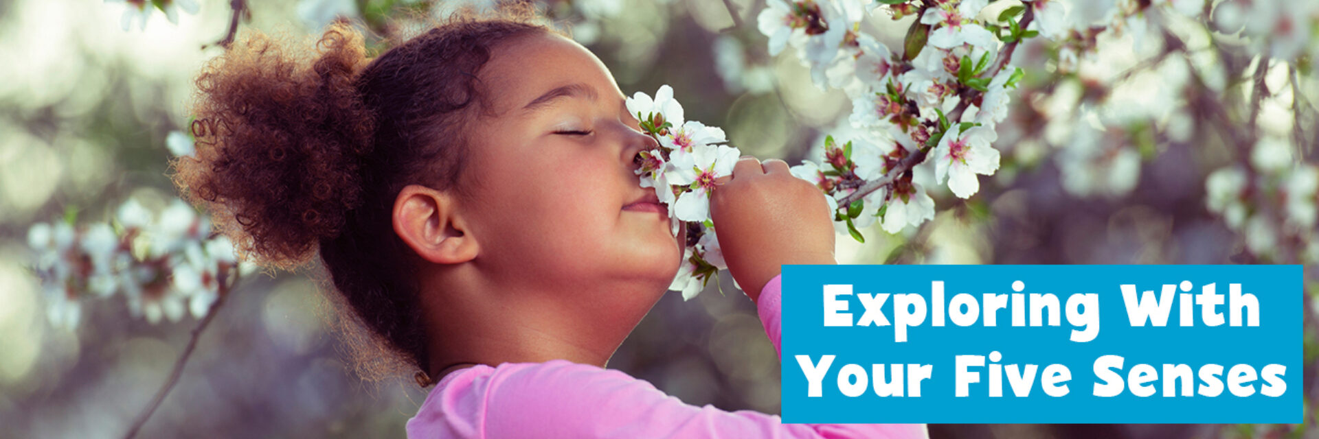 Exploring Nature With Your Five Senses | PBS KIDS for Parents