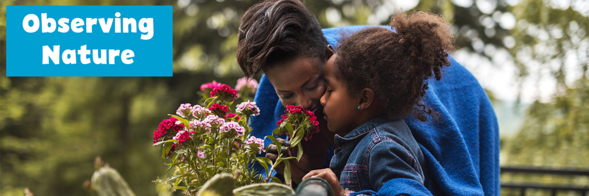 Observing Nature | PBS KIDS for Parents