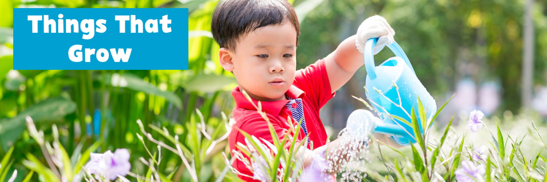 Things That Grow: Plants and Trees | PBS KIDS for Parents