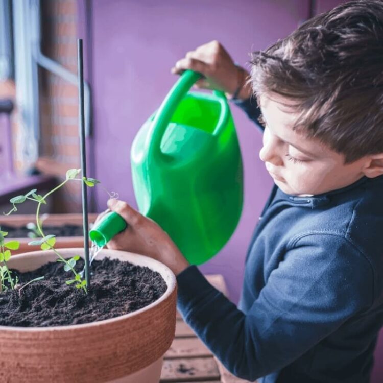 PBS KIDS for Parents | Science Development for Kids