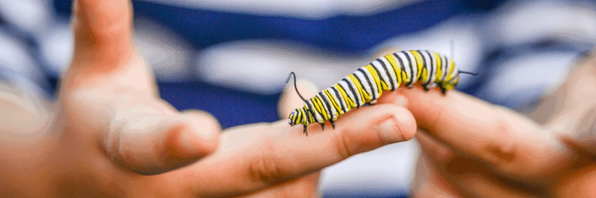 Science: Exploring Animals at Age 5 |… | PBS KIDS for Parents