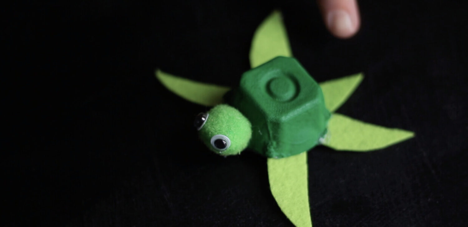 Create Egg Carton Turtles | Crafts for Kids | PBS KIDS for Parents