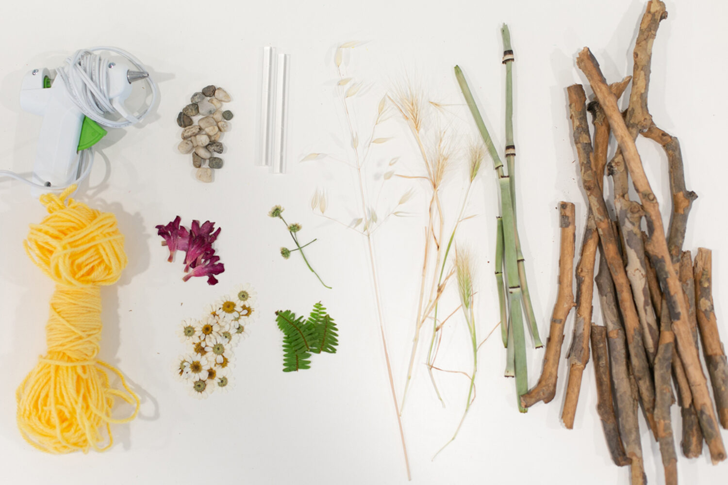 Nature Art Picture Frames | Crafts for Kids | PBS KIDS for Parents