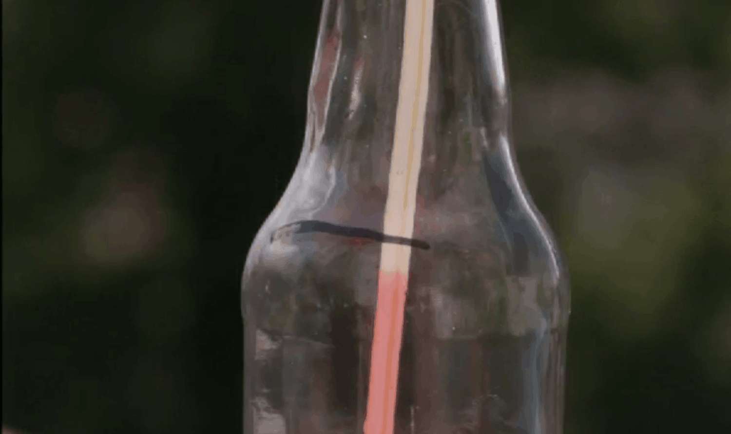 Make a Bottle Thermometer | Crafts for Kids | PBS KIDS for Parents