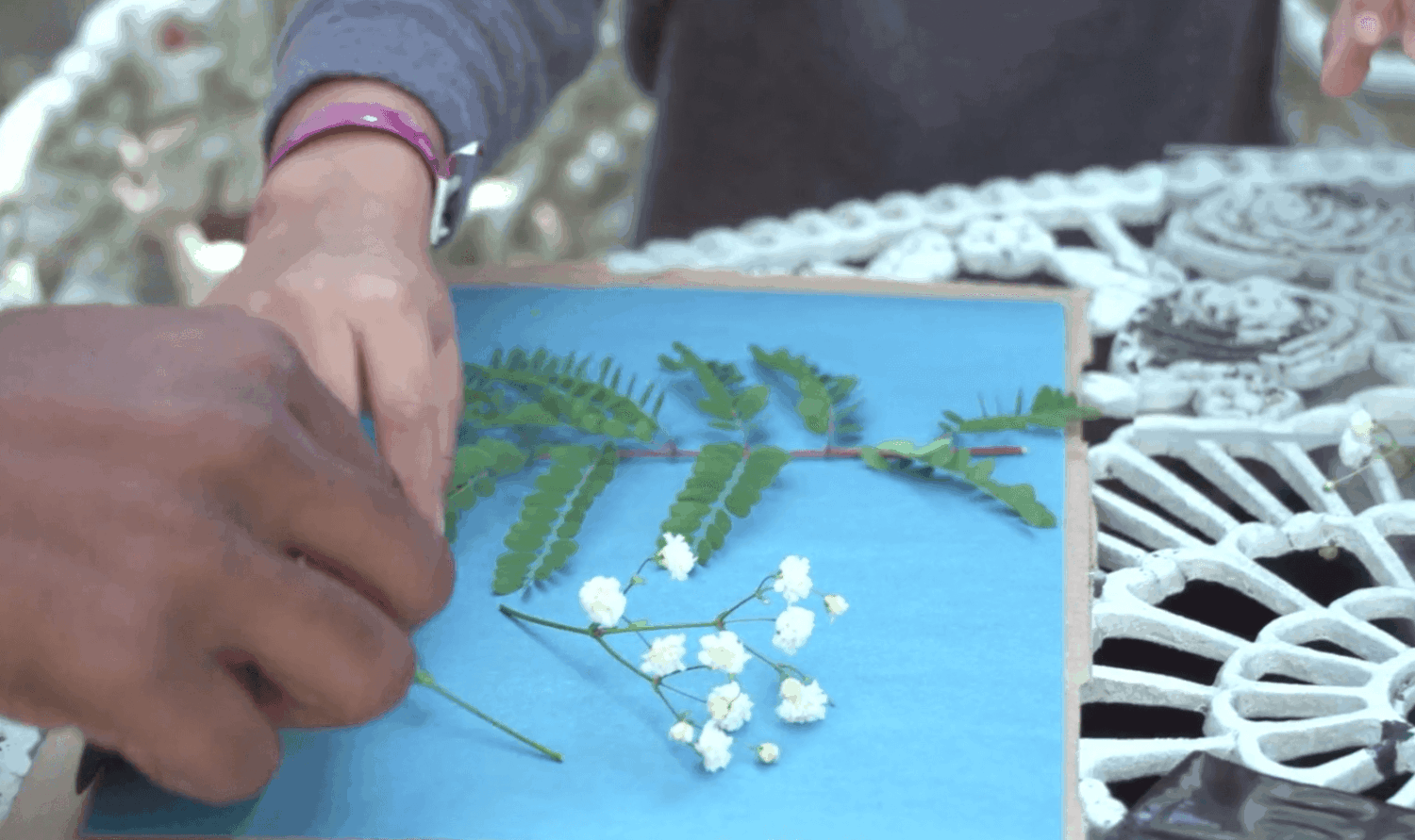 Make Sun Prints | Crafts for Kids | PBS KIDS for Parents