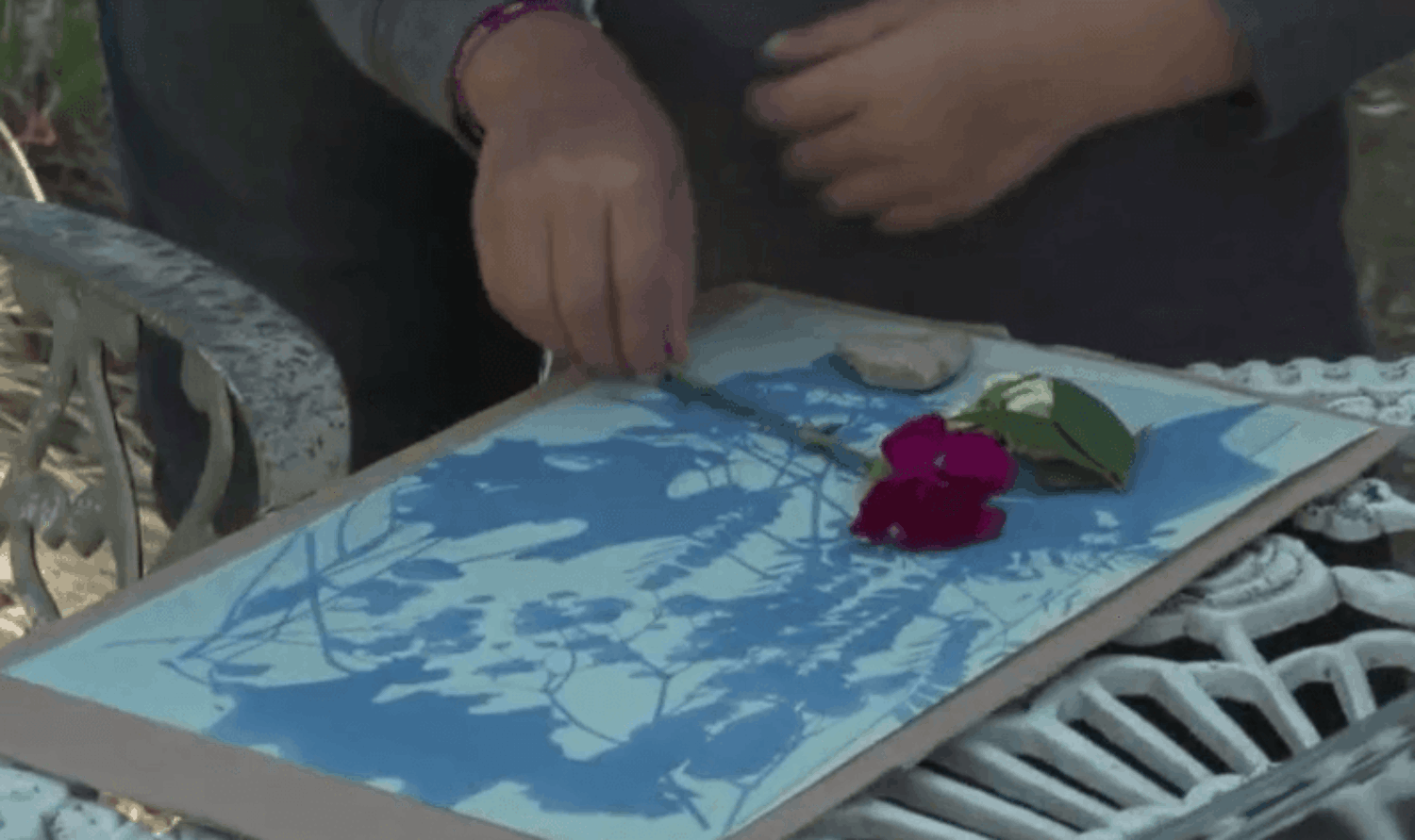 Make Sun Prints | Crafts for Kids | PBS KIDS for Parents