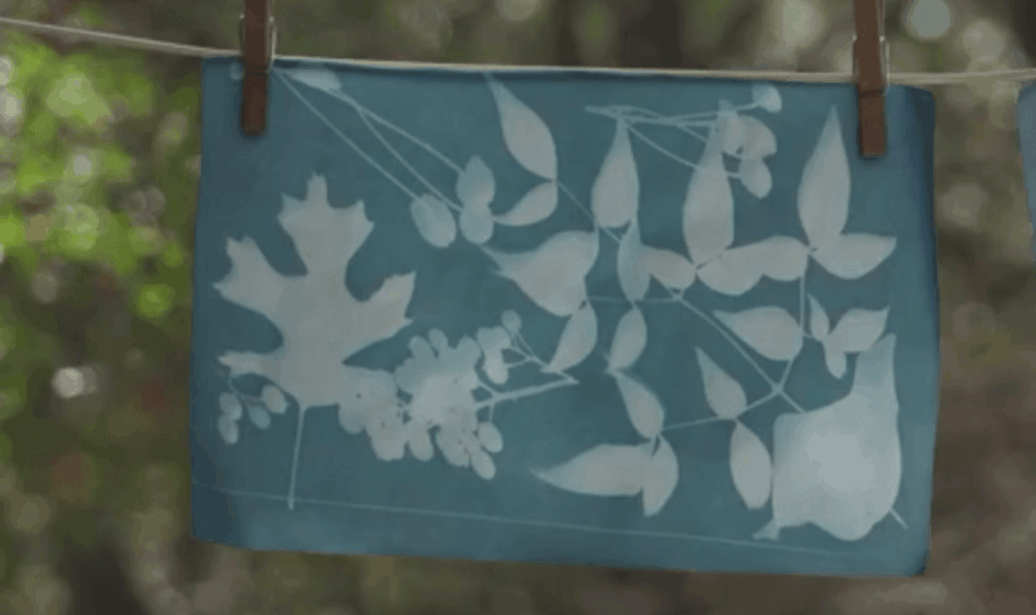 Make Sun Prints | Crafts for Kids | PBS KIDS for Parents