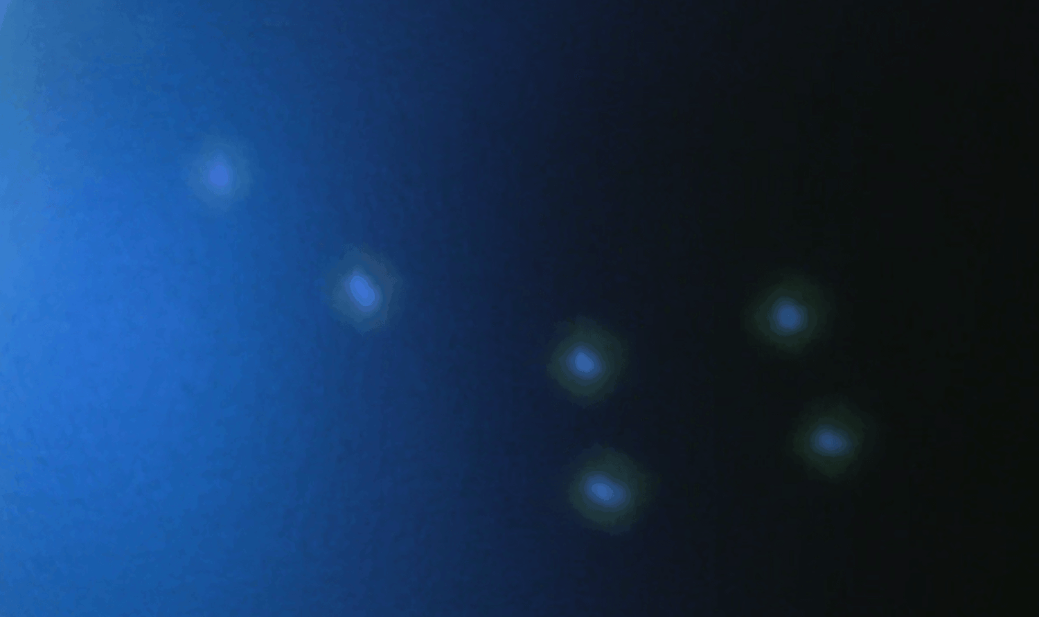 Create Flashlight Constellations | Crafts for… | PBS KIDS for Parents