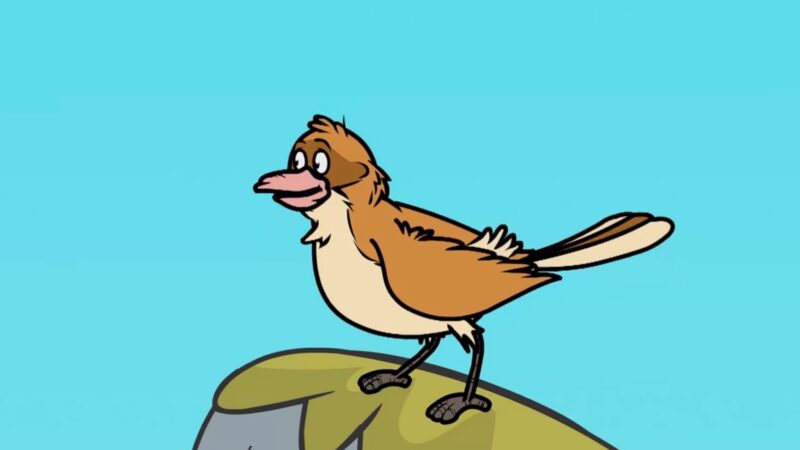 Observing Birds | Crafts for Kids | PBS KIDS for Parents