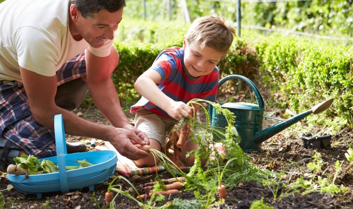 Encourage Budding Scientists With Lessons from… | PBS KIDS for Parents