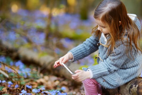 Observing Nature | PBS KIDS for Parents