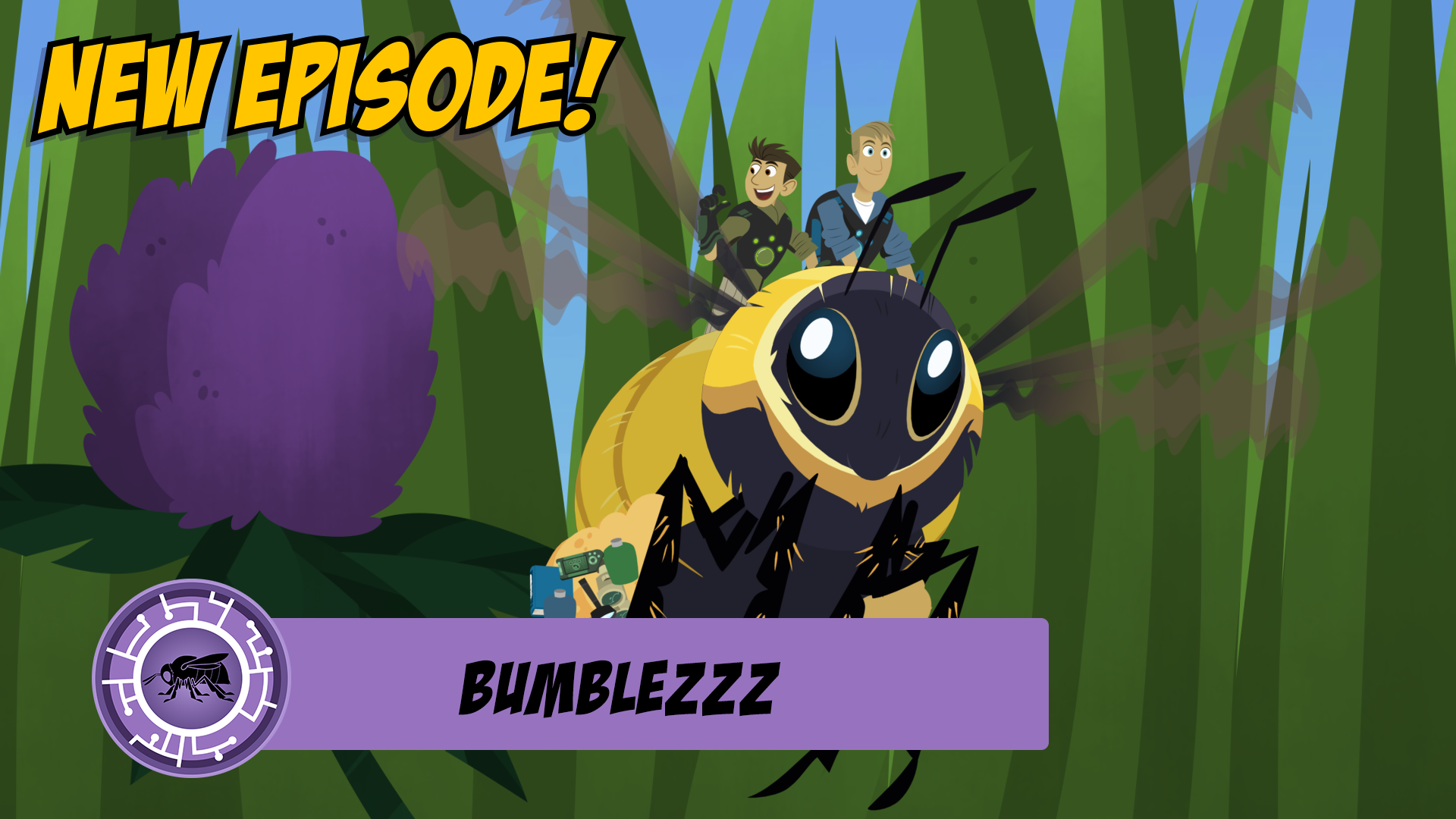 Wild Kratts | PBS KIDS